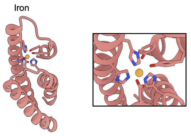 BoltzDesign1: A New Open-Source Tool for All-Atom Protein Design ...
